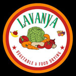 LAVANYA VEG FOOD DRYING - Manufacturer of Dried Banana Powder ...
