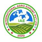 INTERNATIONAL AGRO EXPORT PRIVATE LIMITED in Pune - Exporter of Fresh ...